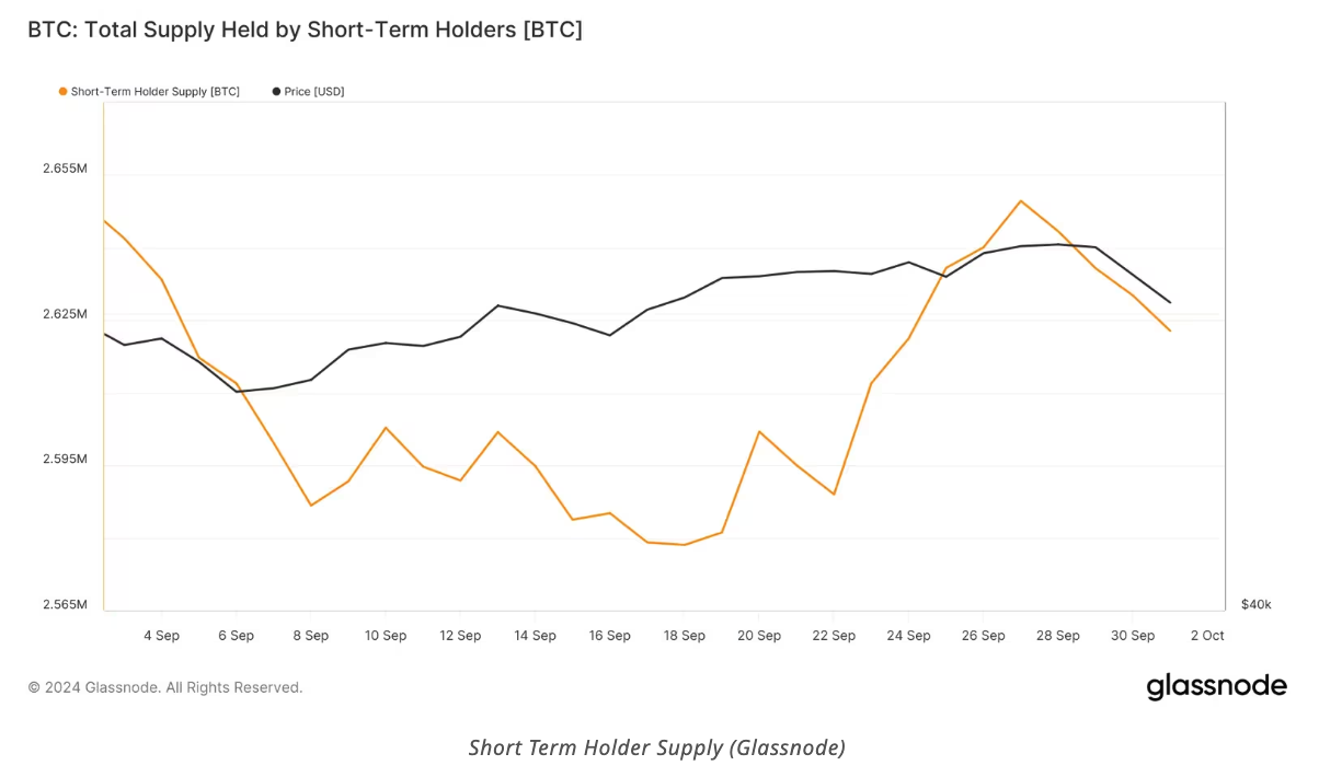 Short-term Bitcoin holders panic-sell amid price drop - CoinNess