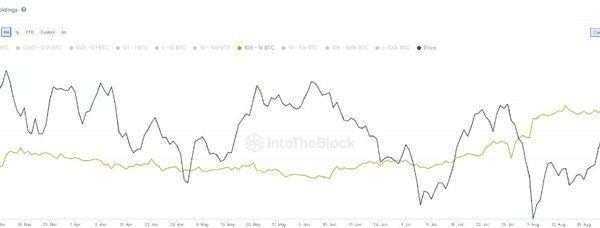 Addresses with 100-1K BTC control 20.3% of circulating supply: IntotheBlock - CoinNess