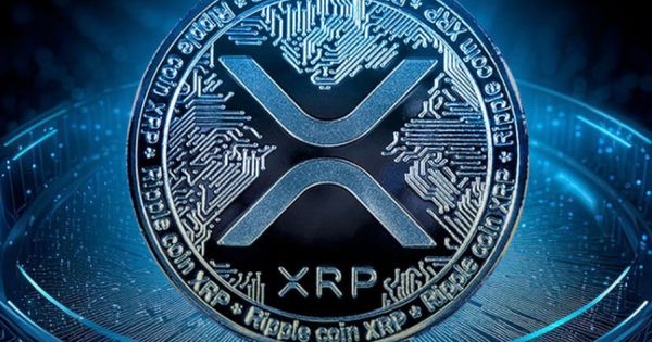 BTC ETH XRP SOL - 코인니스