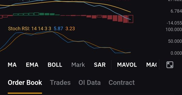 형님들 - 코인니스