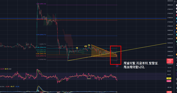 이제부터 중요하다 【 BTC 흐름 CHECK 】 - 코인니스