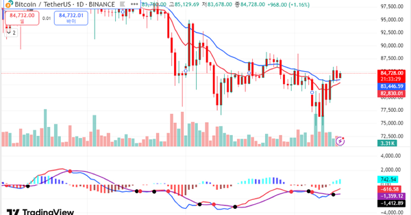 알아서 판단 - 코인니스