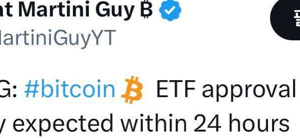 BTC 현물 ETF 24시간내 승인 예상 - 코인니스