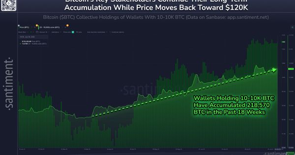비트코인 고래들, 4개월 간 21.8만 BTC 매집 - 코인니스