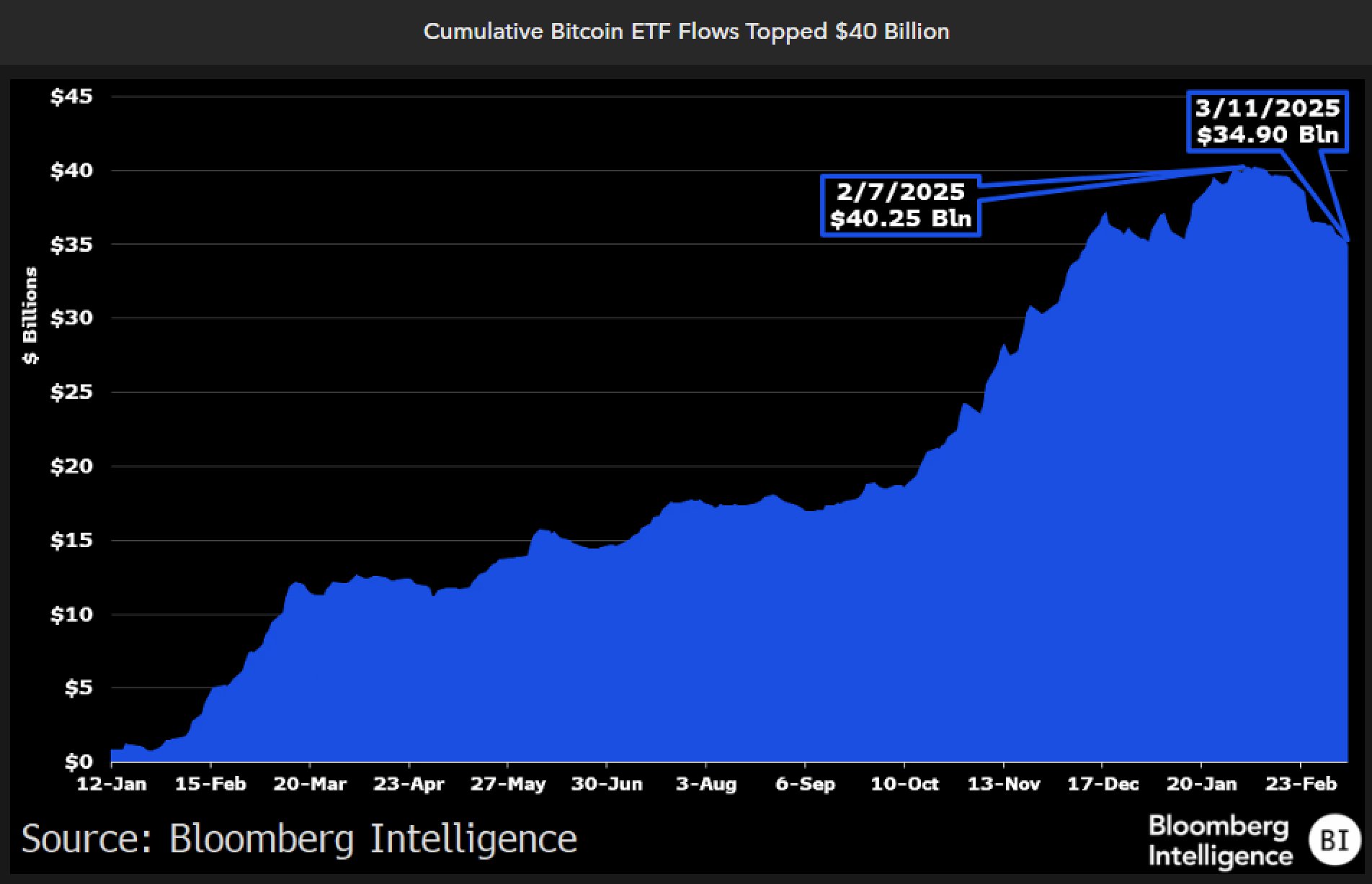 분석 “BTC 현물 ETF 유입 둔화에도 투자자 95% 포지션 유지” - 코인니스