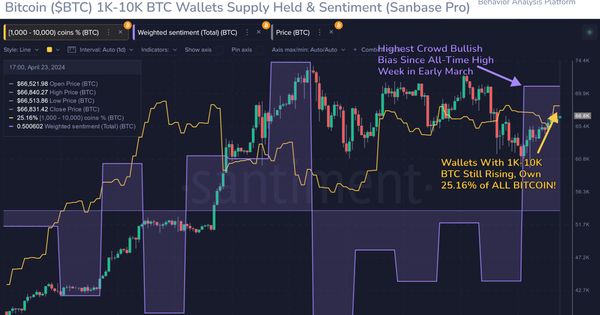 1,000 BTC 이상 보유 고래 주소들, 올 초부터 26.6만 BTC 매집 - 코인니스