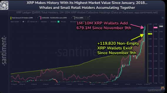 리플 고래들, 3주간 $16억 XRP 매집 - 코인니스