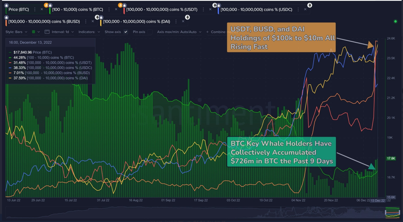 100~10,000BTC 보유 주소, 9일간 7억 달러 상당 BTC 매집 - 코인니스
