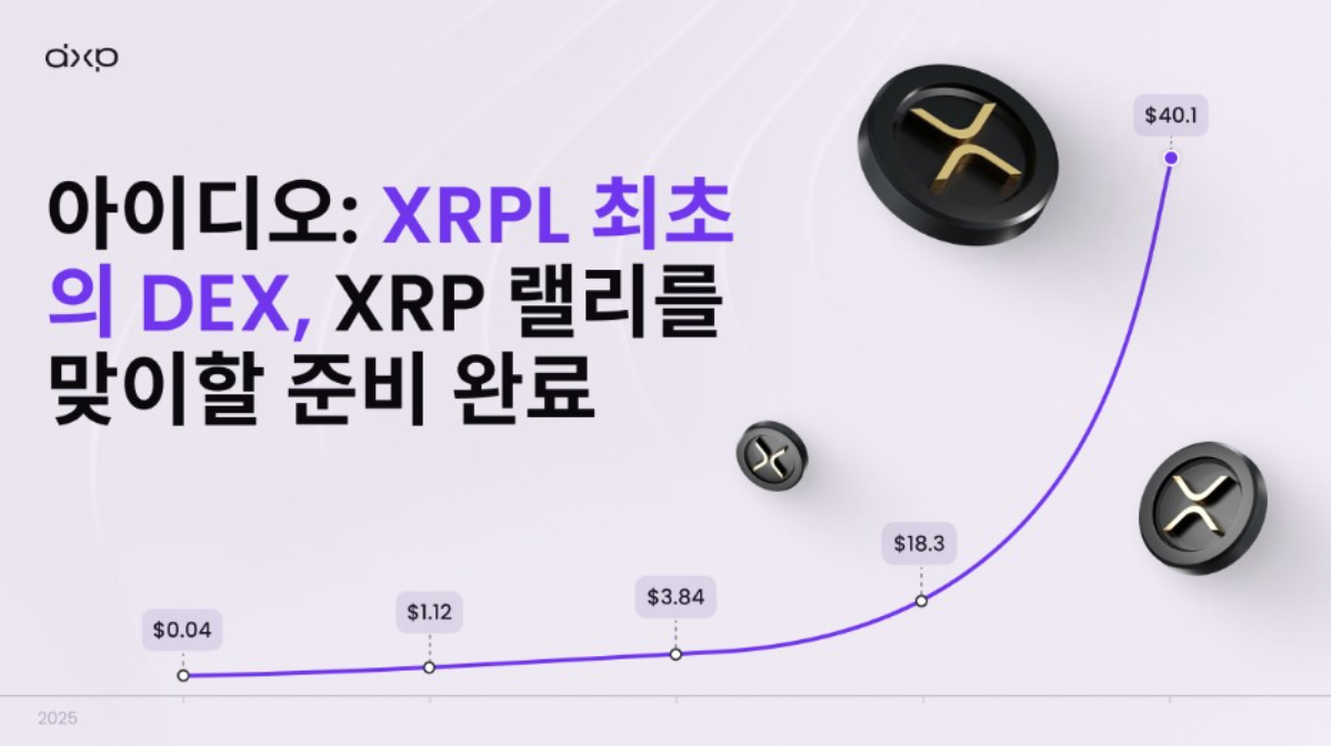 리플렛저 기반 DEX DeXRP, IDO 진행 - 코인니스